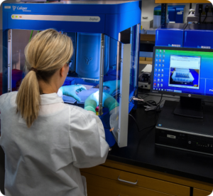 Efficient Healthcare IT Services | The Solutions Team